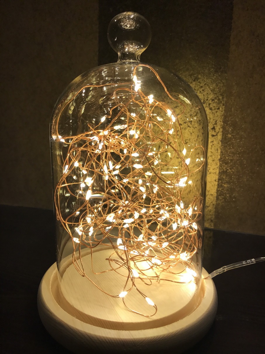 Starry Glass Dome (Round) with LED String Lights – Envi Goods